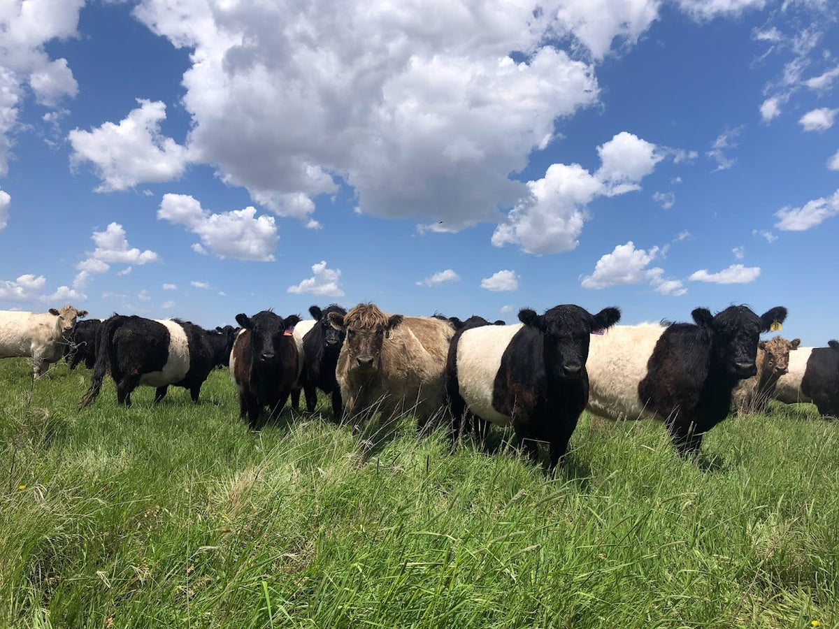 Is Your Beef 100% Grassfed? – Glory Garden