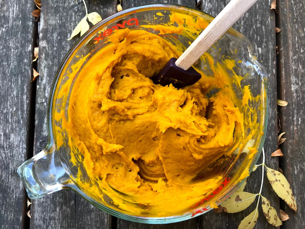 How to Puree and Freeze Pumpkin or Squash – Glory Garden