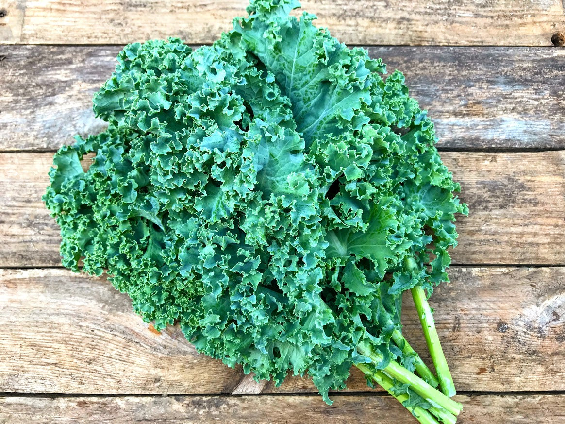 Kale Leaf